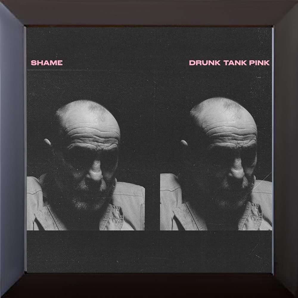 Drunk Tank Pink Shame (vinyle neuf) - up-station.com